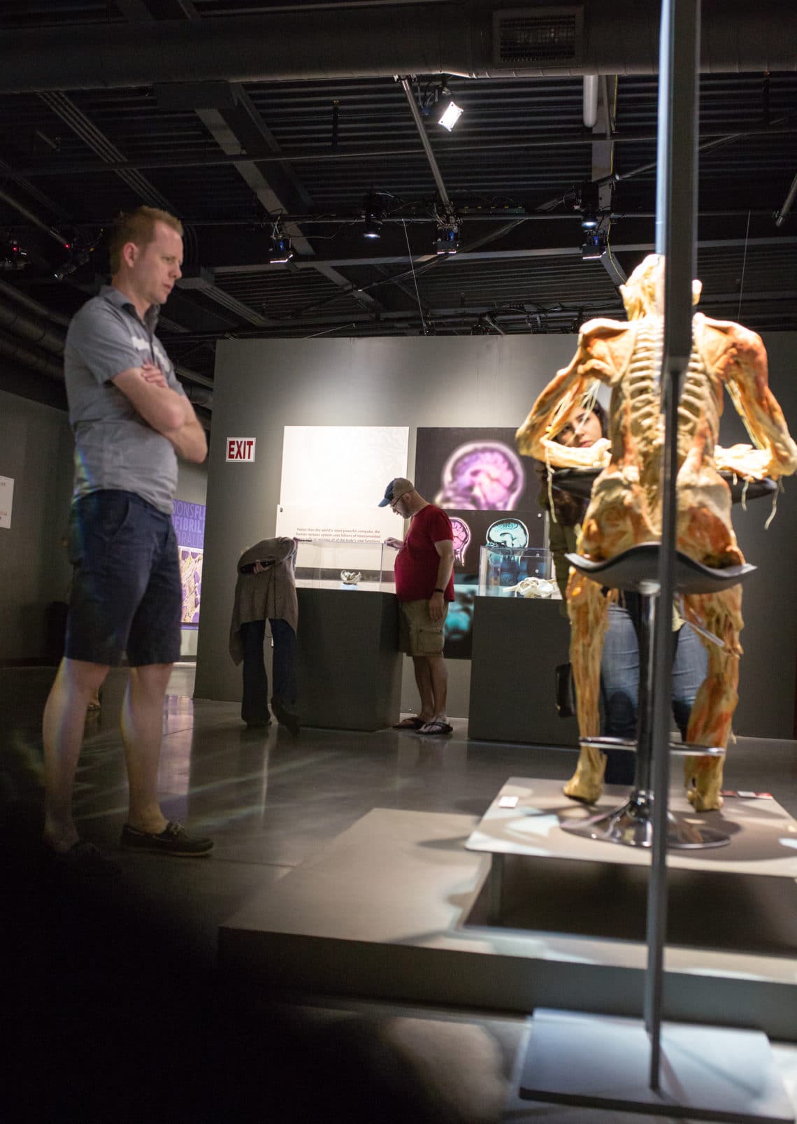 Bodies Revealed Exhibition Date Night and Information